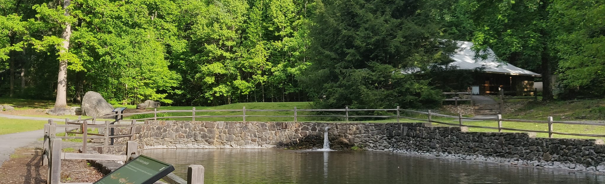 Little Pinnacle Mountain Loop Trail, South Carolina - 181 Reviews, Map ...