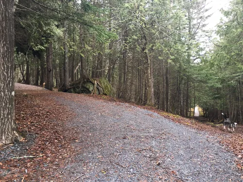 10 Best Trails and Hikes in Quispamsis | AllTrails