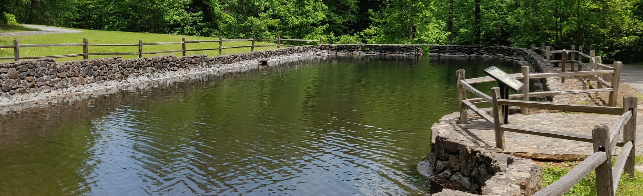 Jones Gap Loop Trail, South Carolina - 99 Reviews, Map | AllTrails