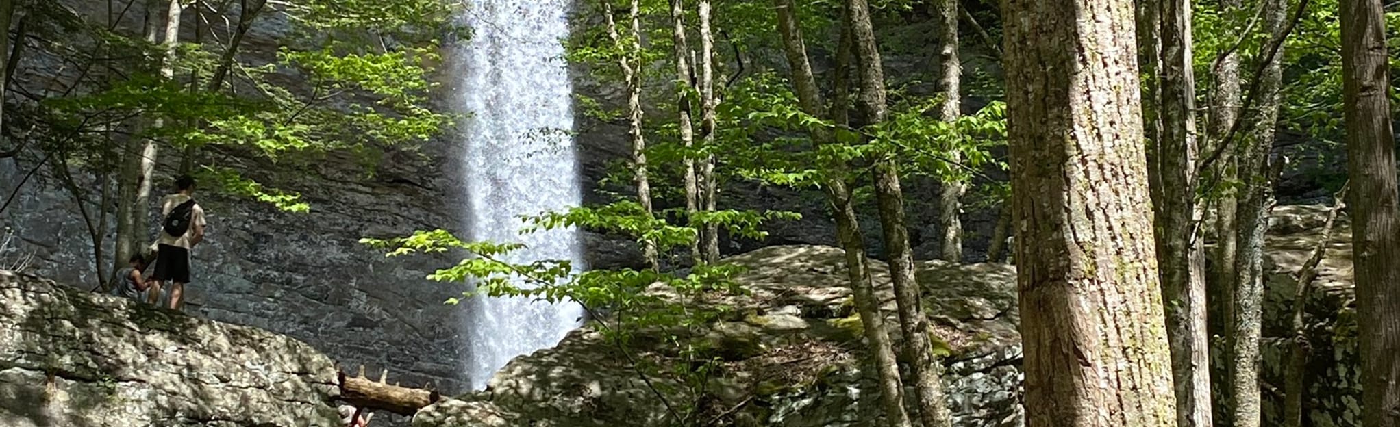 Ozone Falls Trail - Tennessee | AllTrails