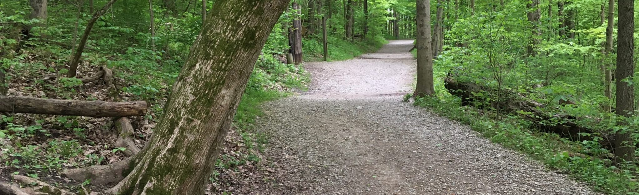 Parcourse Trail: 78 Reviews, Map - Ohio | AllTrails