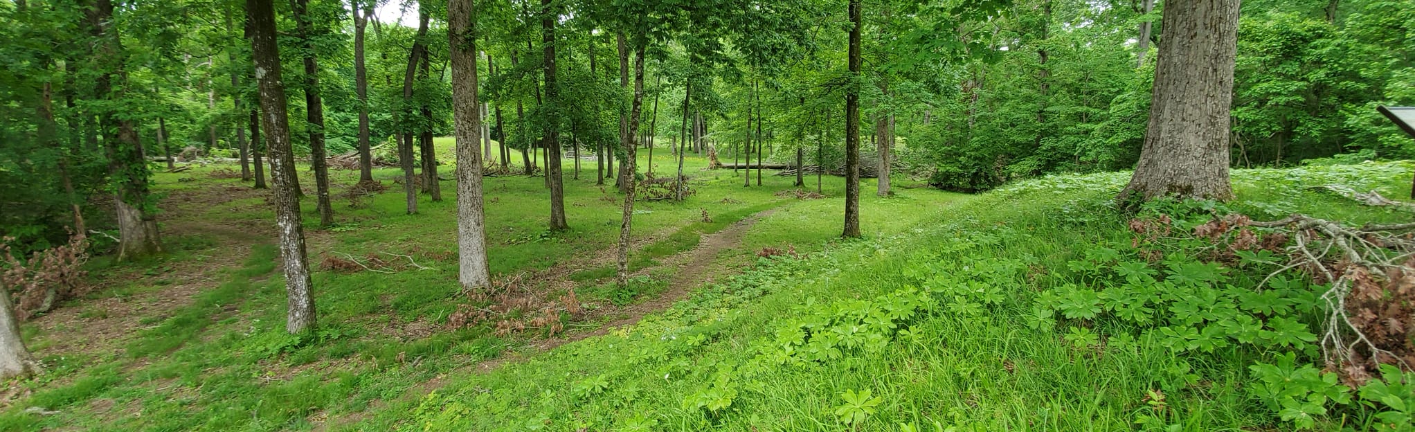 Riverside and Indian Mounds Trail | Map, Guide - Tennessee | AllTrails