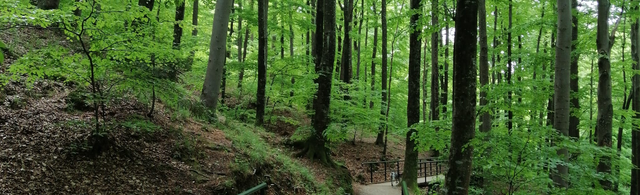 Šestine - Kraljičin Zdenac - Medvedgrad: 120 Reviews, Map - City of ...