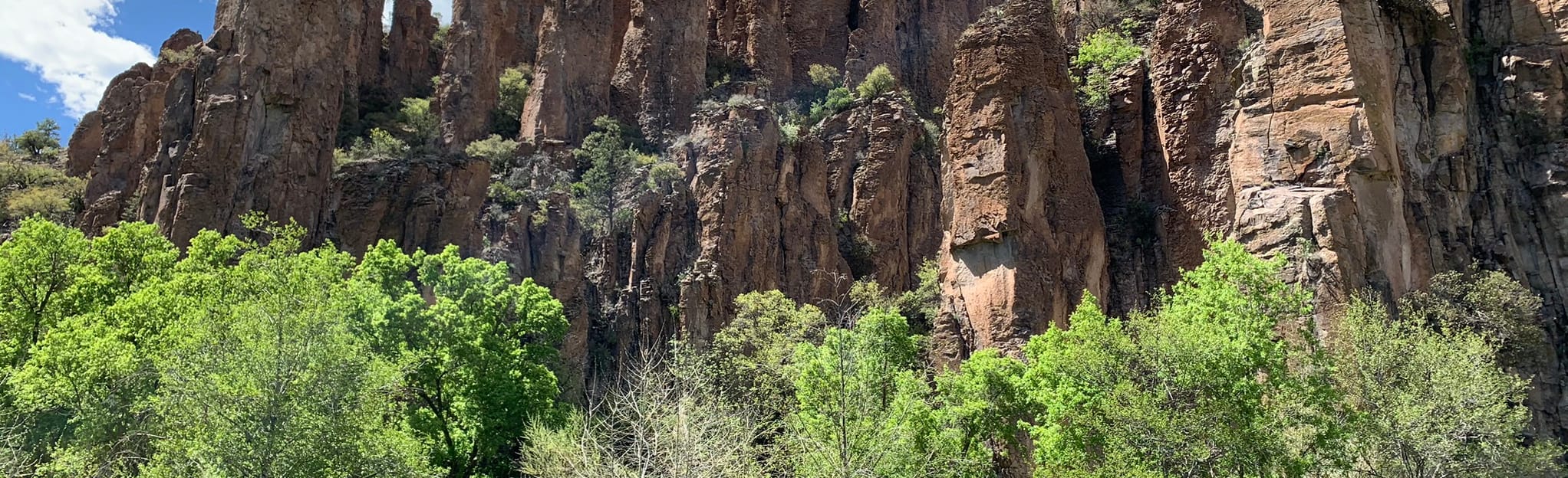 Gila Dry Loop and West Fork, New Mexico - 2 Reviews, Map | AllTrails
