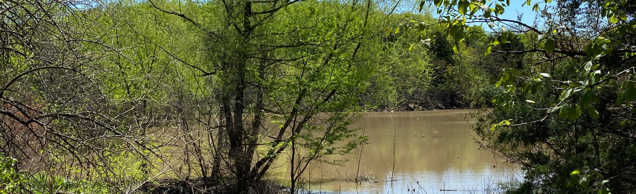 Perry Lake Equestrian Trails, Kansas - 27 Reviews, Map | AllTrails