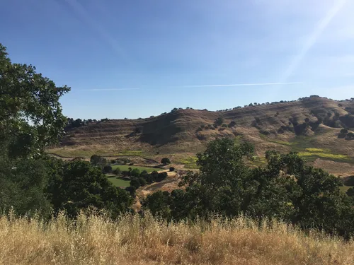 10 Best Wild Flowers Trails in Shell Ridge Open Space | AllTrails