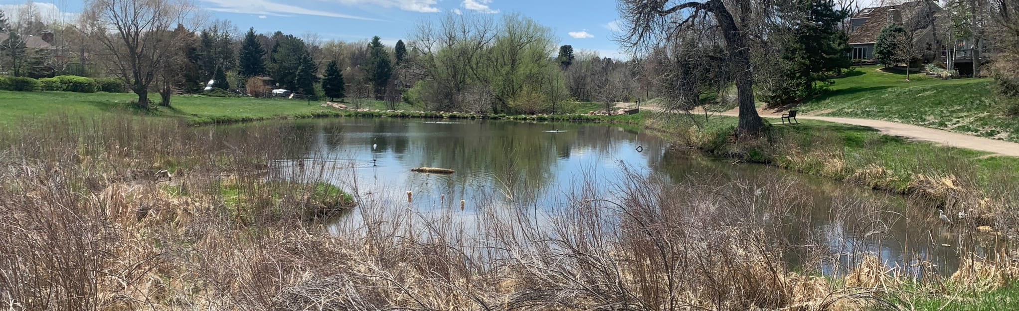 Highline Canal Trail to Lee Gulch Trail Loop - Colorado | AllTrails
