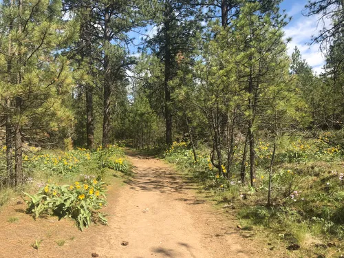 10 Best Trails and Hikes in Spokane | AllTrails
