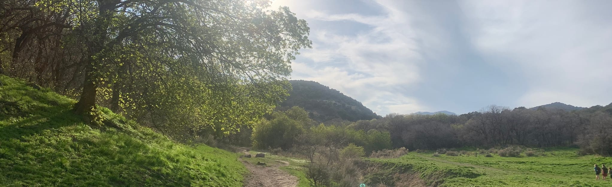 Turkey Hollow Trail via Yellow Fork Trail: 59 Reviews, Map - Utah ...