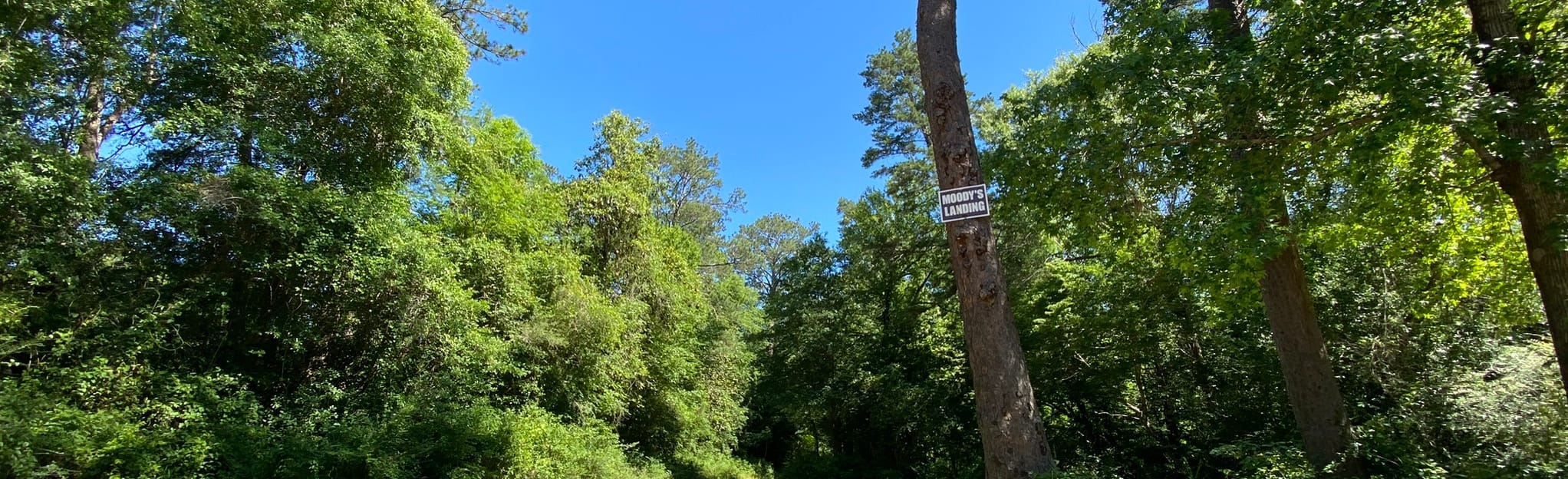 Black Creek Canoe Trail: Brooklyn to Fairley Bridge Road: 15 Reviews ...