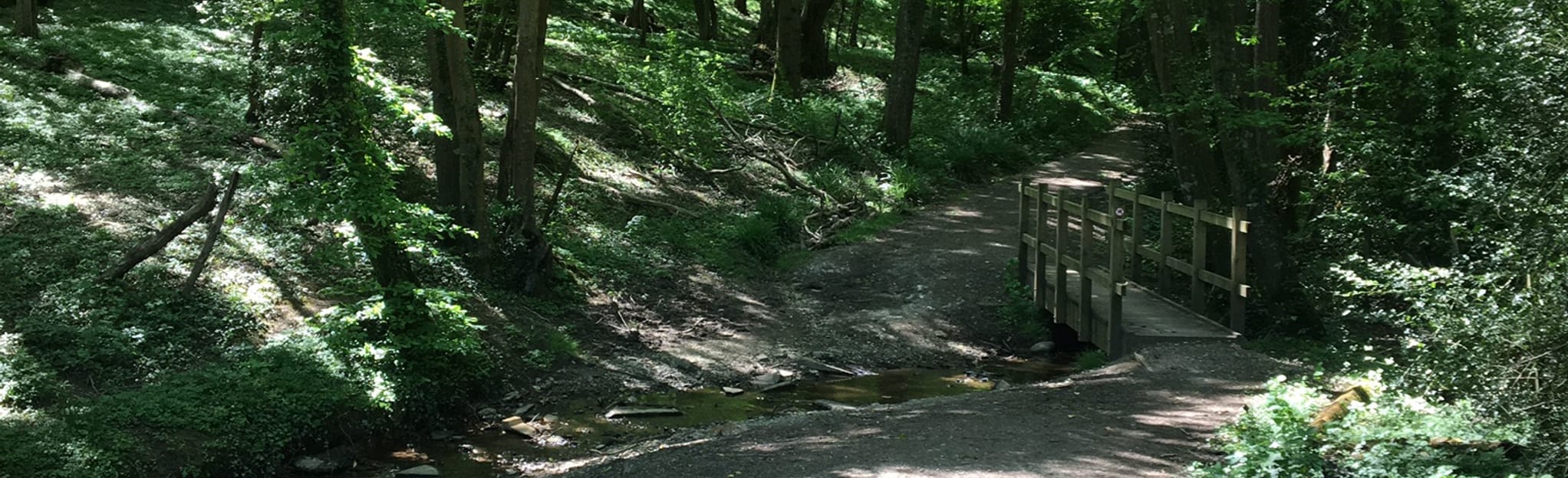 Cowbeech Circular - East Sussex, England | AllTrails