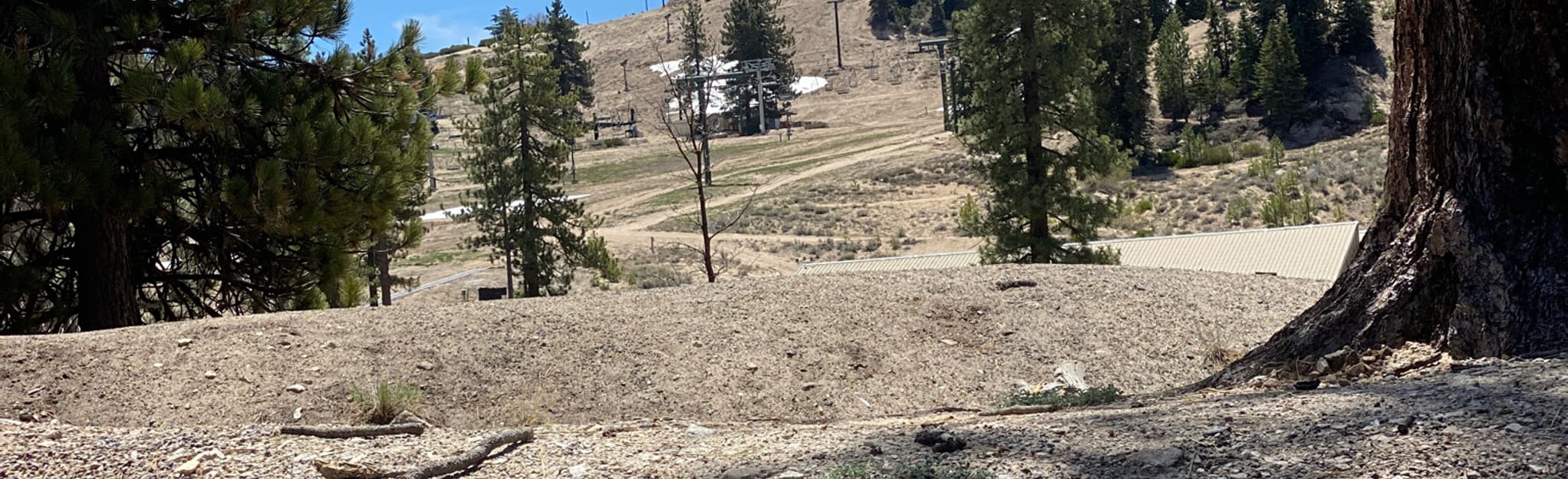 Rim of the World Scenic Drive: Big Bear Lake to San Bernardino ...