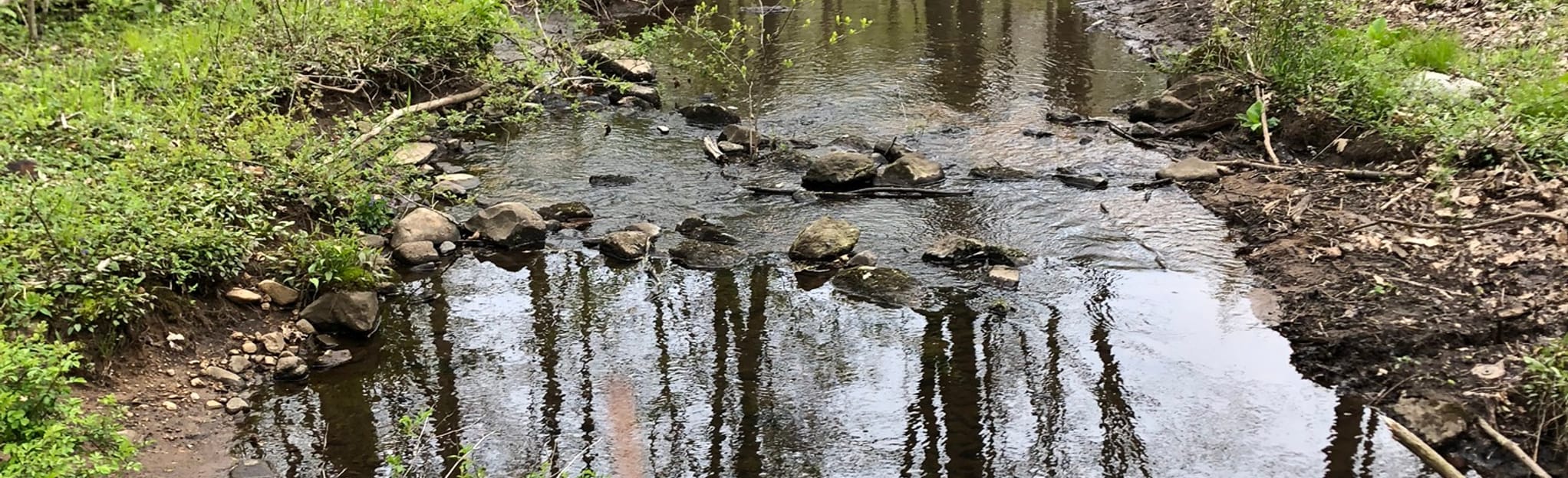 Westwoods Green, White, Blue, and Orange Trail Loop, Connecticut - 37 ...