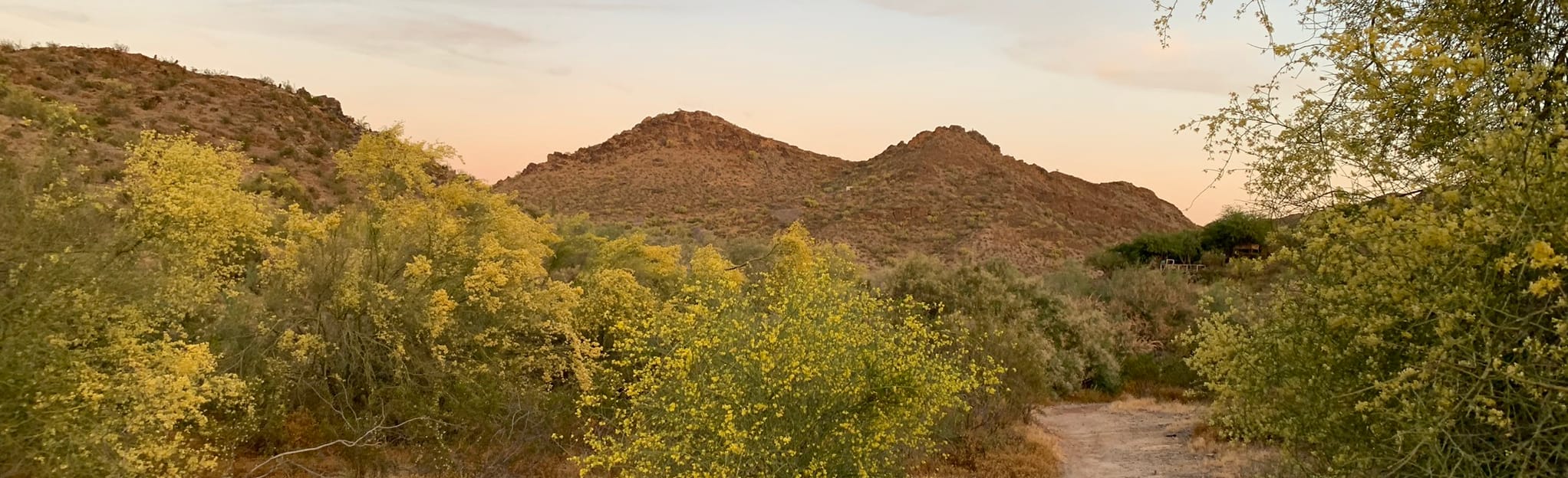 Trail 100 from Mountain View Park, Arizona - 367 Reviews, Map | AllTrails