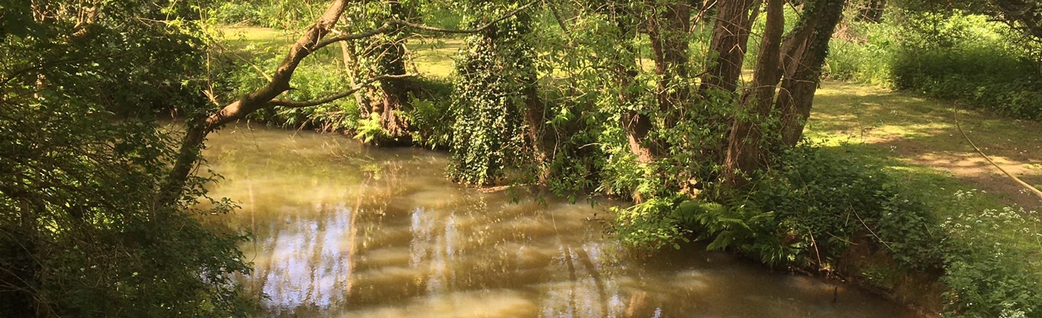 Hellingly and the Cuckoo Trail: 35 Reviews, Map - East Sussex, England ...