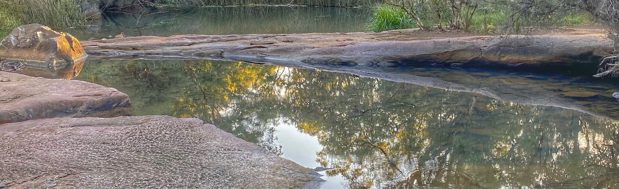 Roley Pools and Boardwalk Trail: 213 foto's - Western Australia ...