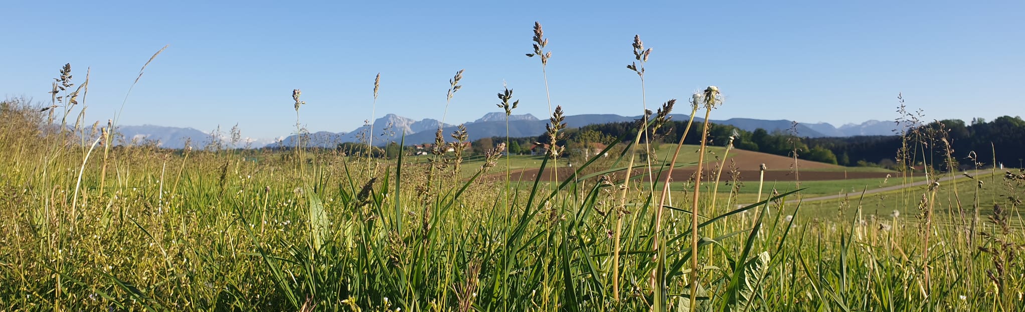 Waging am See - Plattenberg - Waginger See: 25 foto's - Beieren ...