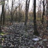 Lehigh Gap via Appalachian Trail, Pennsylvania - 230 Reviews, Map ...