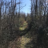 Lehigh Gap via Appalachian Trail, Pennsylvania - 242 Reviews, Map ...