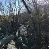 Lehigh Gap via Appalachian Trail, Pennsylvania - 242 Reviews, Map ...