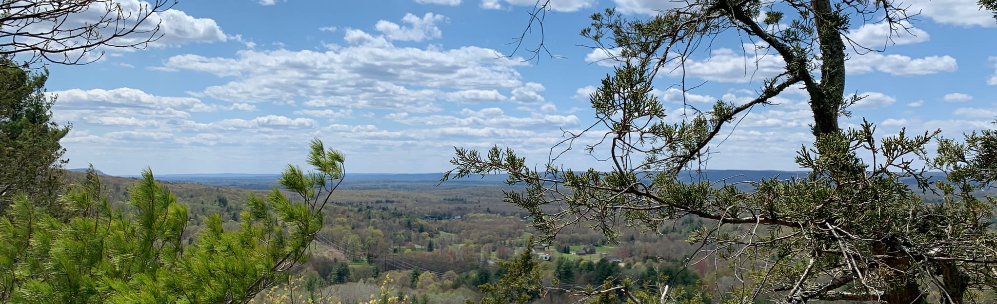Suffield Mountain Trail, Connecticut - 184 Reviews, Map | AllTrails