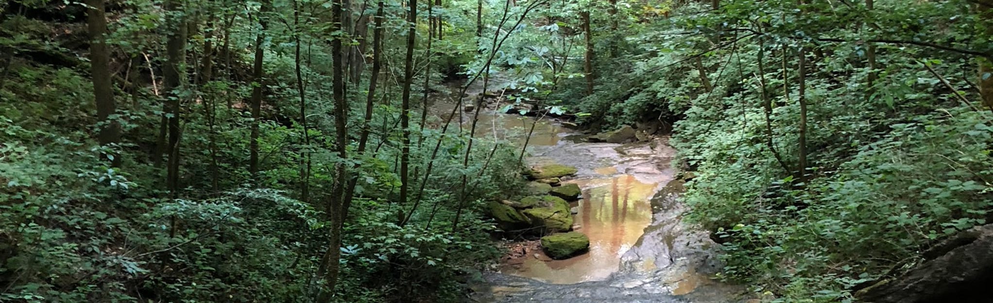 Bunkum Cave Trail, Tennessee - 195 Reviews, Map | AllTrails