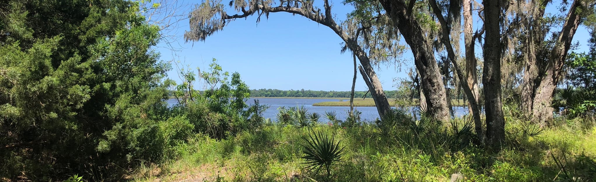Betz-Tiger Point Preserve Yellow Trail, Florida - 33 Reviews, Map ...
