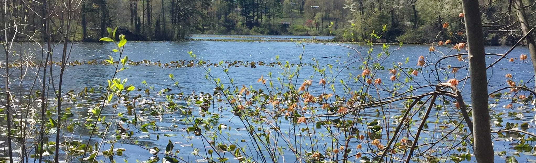 Mogadore Reservoir via Buckeye Trail, Ohio - 392 Reviews, Map | AllTrails