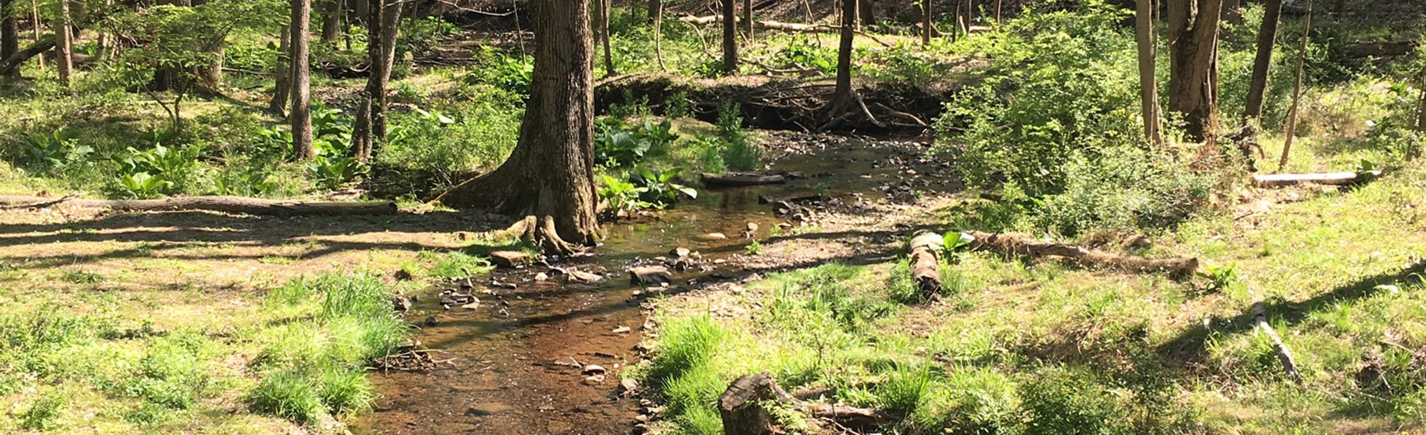 Washington Valley Orange Trail and East Branch Middle Brook trail, New ...