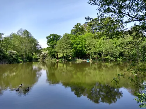 10 Best Trails, Walks, and Paths in Bath | AllTrails