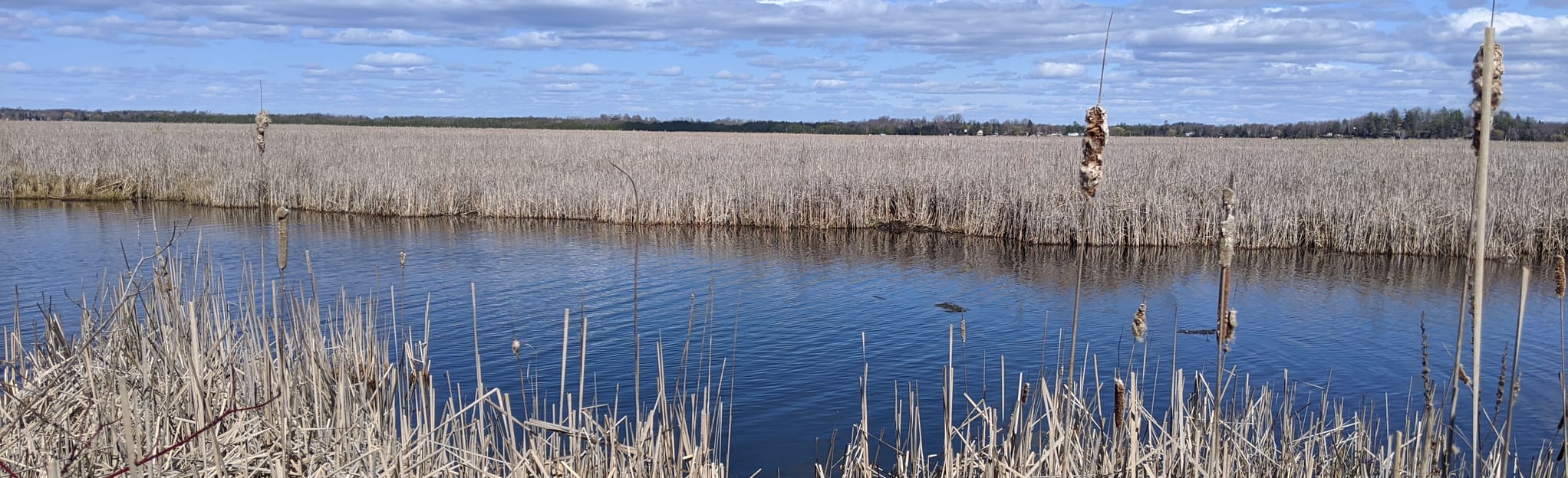 Cedar Grove, Turtle Bay, Beaver, and Glacier Trails Loop: 46 Reviews ...