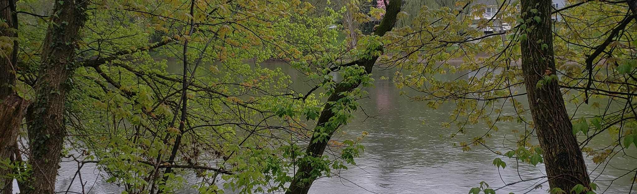 Srouji Park Loop, Pennsylvania - 18 Reviews, Map | AllTrails