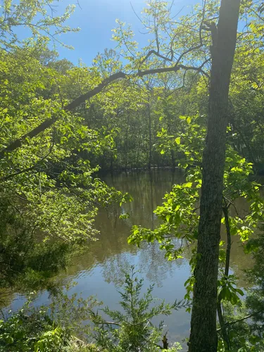 Best Hikes and Trails in Perry State Park | AllTrails