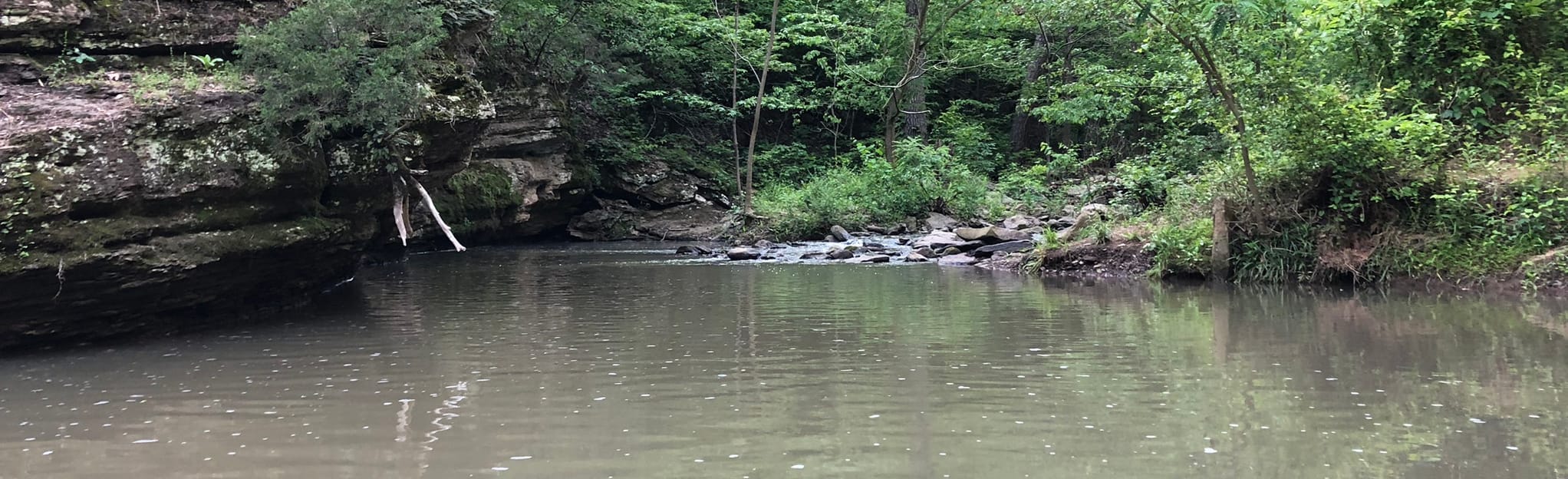 Crack in the Rock Trail, Arkansas - 501 Reviews, Map | AllTrails