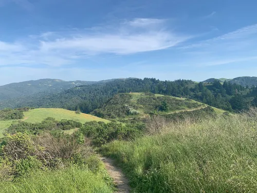 10 Best Hikes and Trails in Windy Hill Open Space | AllTrails