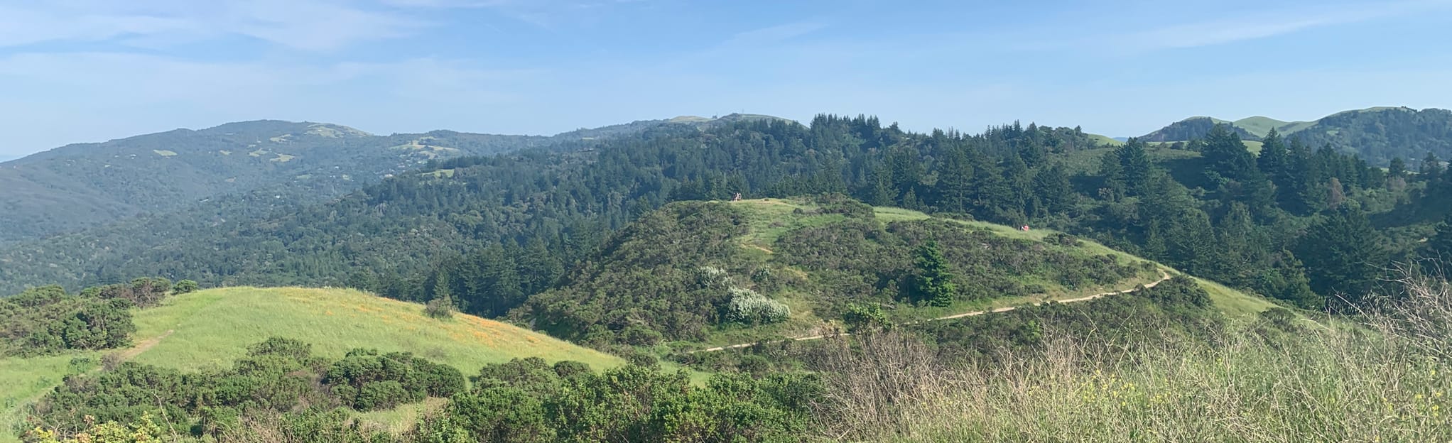 Spring Ridge Trail, Windy Hill, Lost Trail, and Razorback Ridge Loop ...