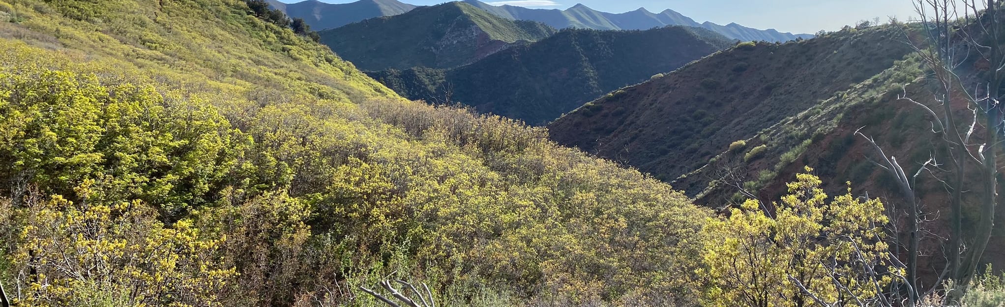 Storm King Mountain Memorial Trail, Colorado - 542 Reviews, Map | AllTrails