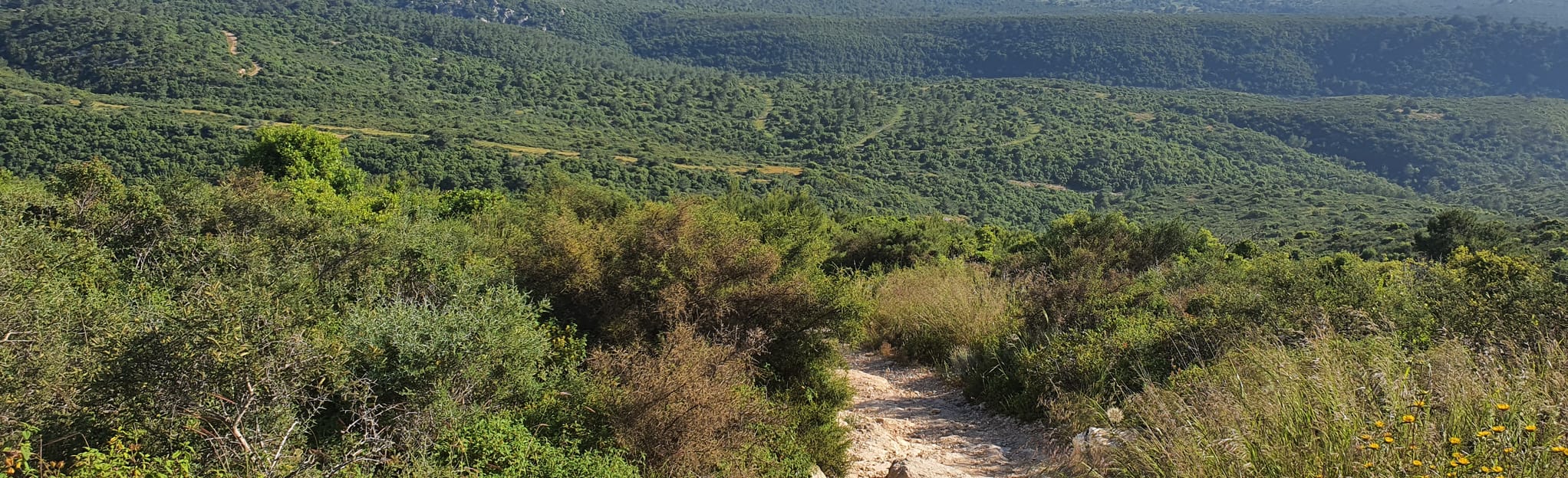 Neve Shaanan, Ramat Alon, Haifa Forest and Ramat Almogi Loop: 52 foto's ...