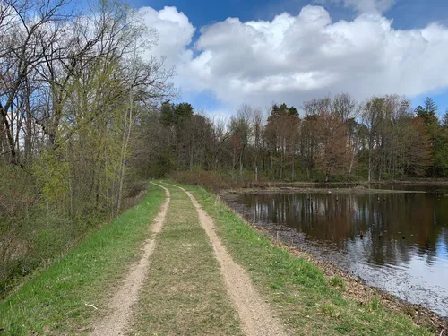 Best Hikes and Trails in Rose Lake State Wildlife Area | AllTrails