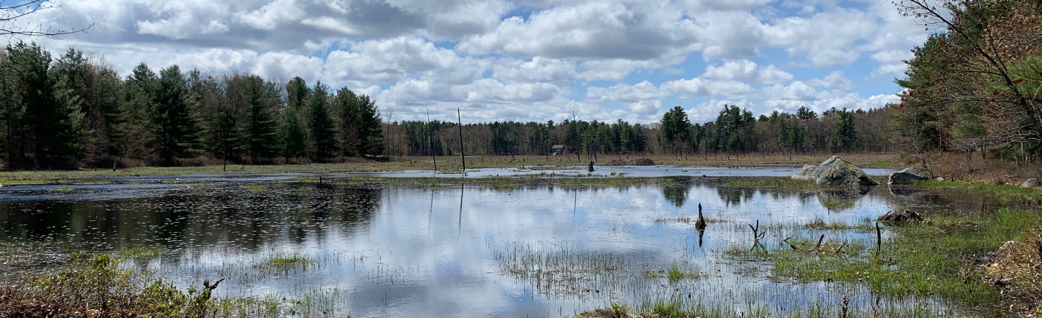 Horse Hill Loop Trail via Quarry Trail: 60 Reviews, Map - New Hampshire ...