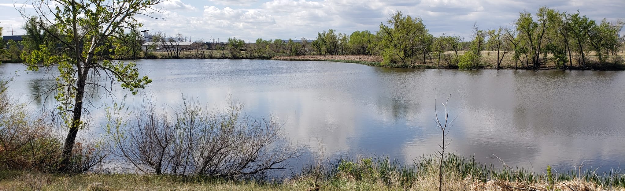 Heron Pond Loop: 30 Reviews, Map - Colorado | AllTrails
