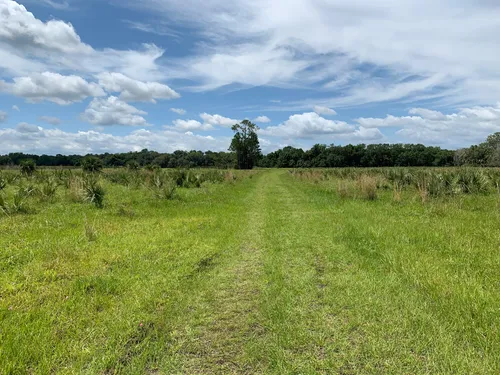 Best Hikes and Trails in Beck Ranch Park | AllTrails