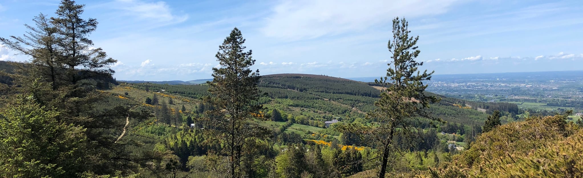 Ticknock and Fairy Castle Loop, County Dublin, Ireland - 860 Reviews ...