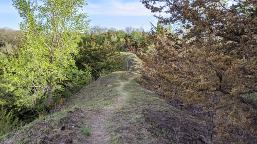 Best 10 Hikes and Trails in Loess Hills State Forest - Little Sioux ...