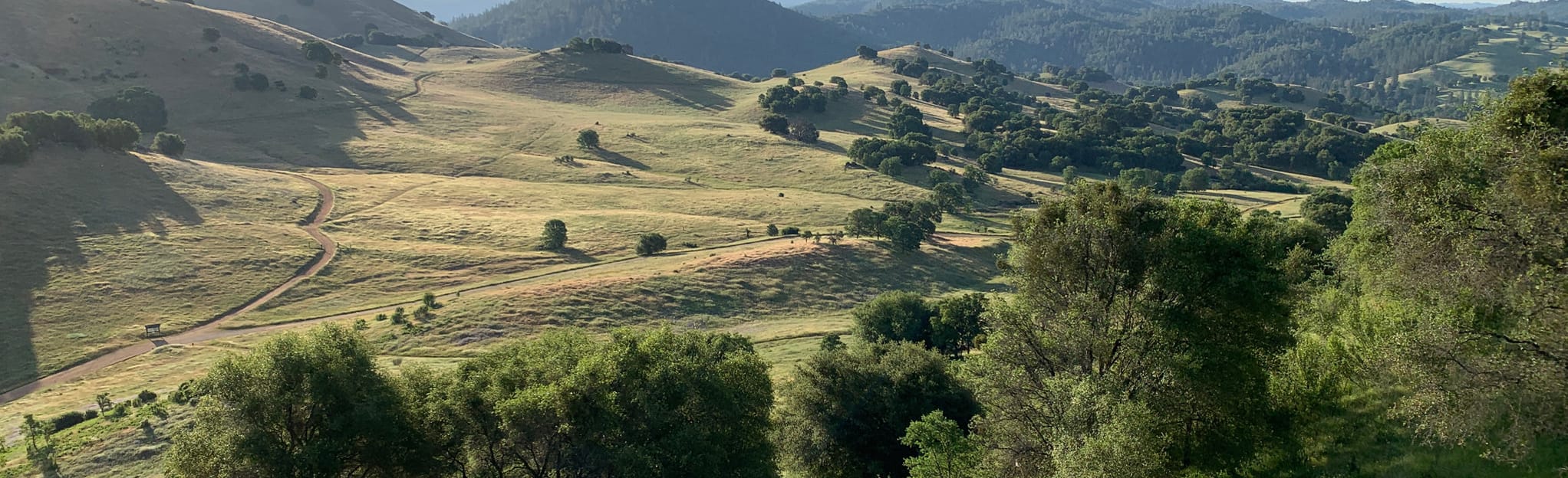 Down and Up and West Ridge Trail Loop: 423 Reviews, Map - California ...