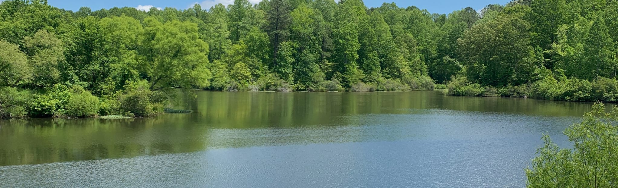 Warhill Trail | Map, Guide - Virginia | AllTrails