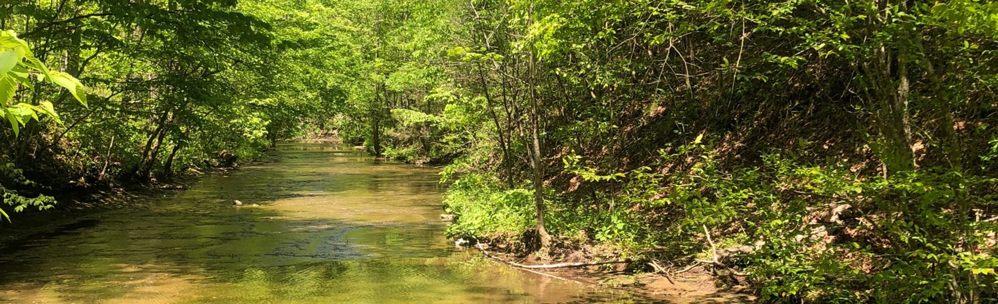 Sedge Hill Trail, Tennessee - 339 Reviews, Map | AllTrails