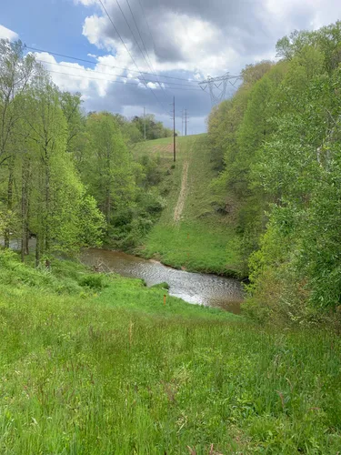 Best Hikes and Trails in Morgan Run Environmental Area | AllTrails