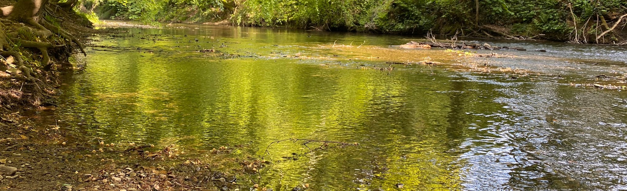 Dünnwald - Odenthal - Scheuren, North Rhine-Westphalia, Germany - 5 ...