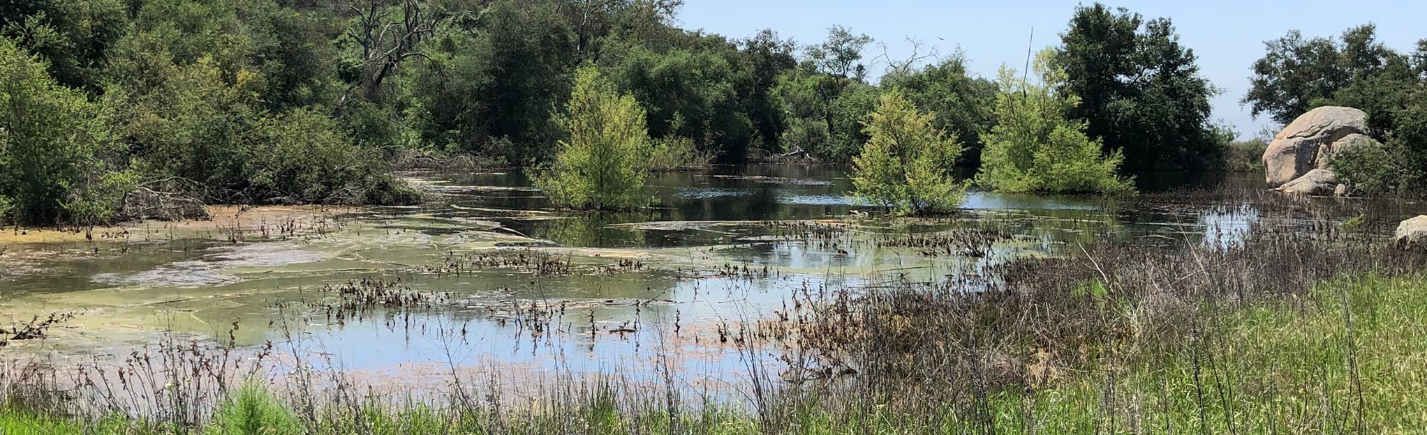 Boulder Loop, Cougar Ridge, Hidden Spring, and Jack Creek Meadow Loop ...